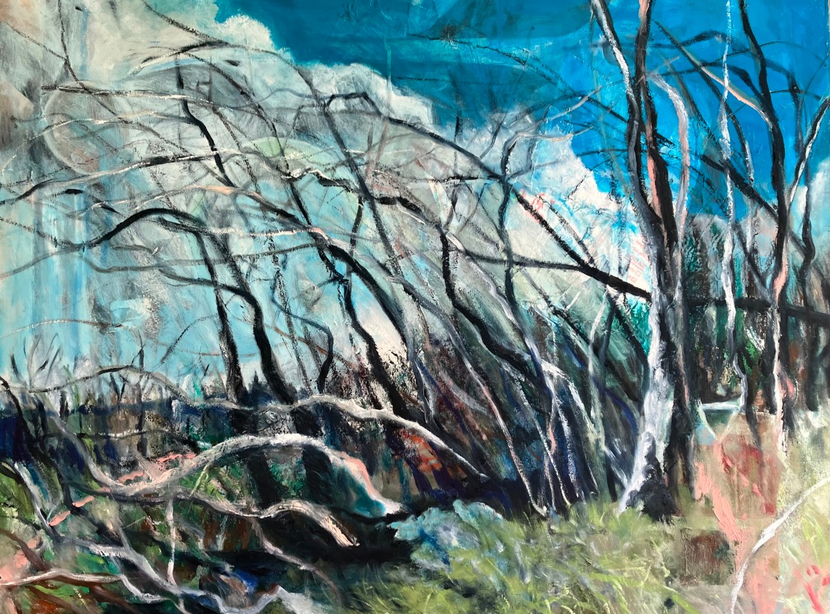 Beyond the Cotter River – Simone Annis Paintings